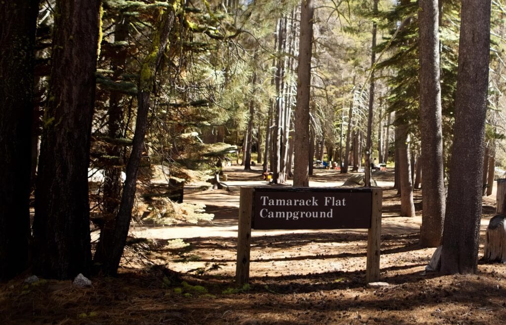 Tamarack Flat Campground (No RV’s) | Discover Yosemite National Park