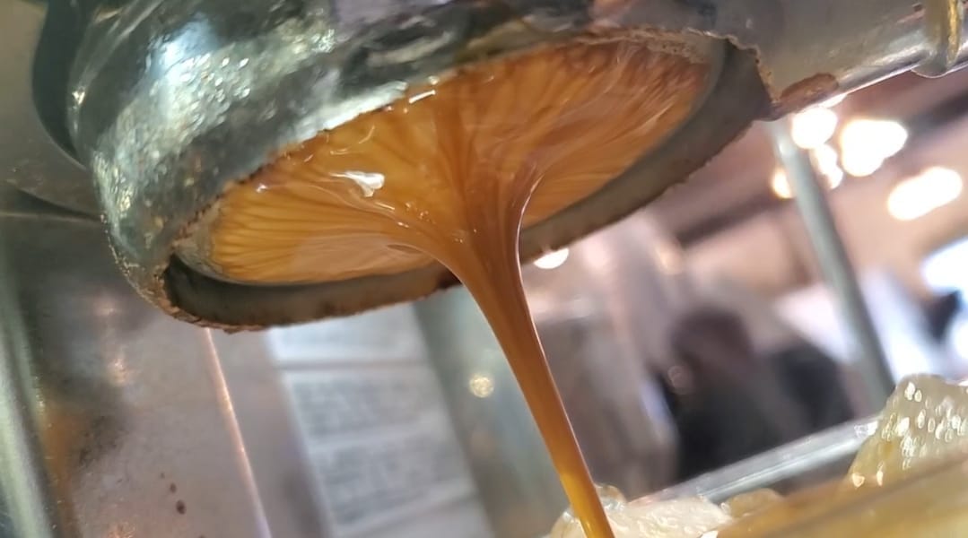Pony Expresso Coffee House & Trading Post | Discover Yosemite National Park