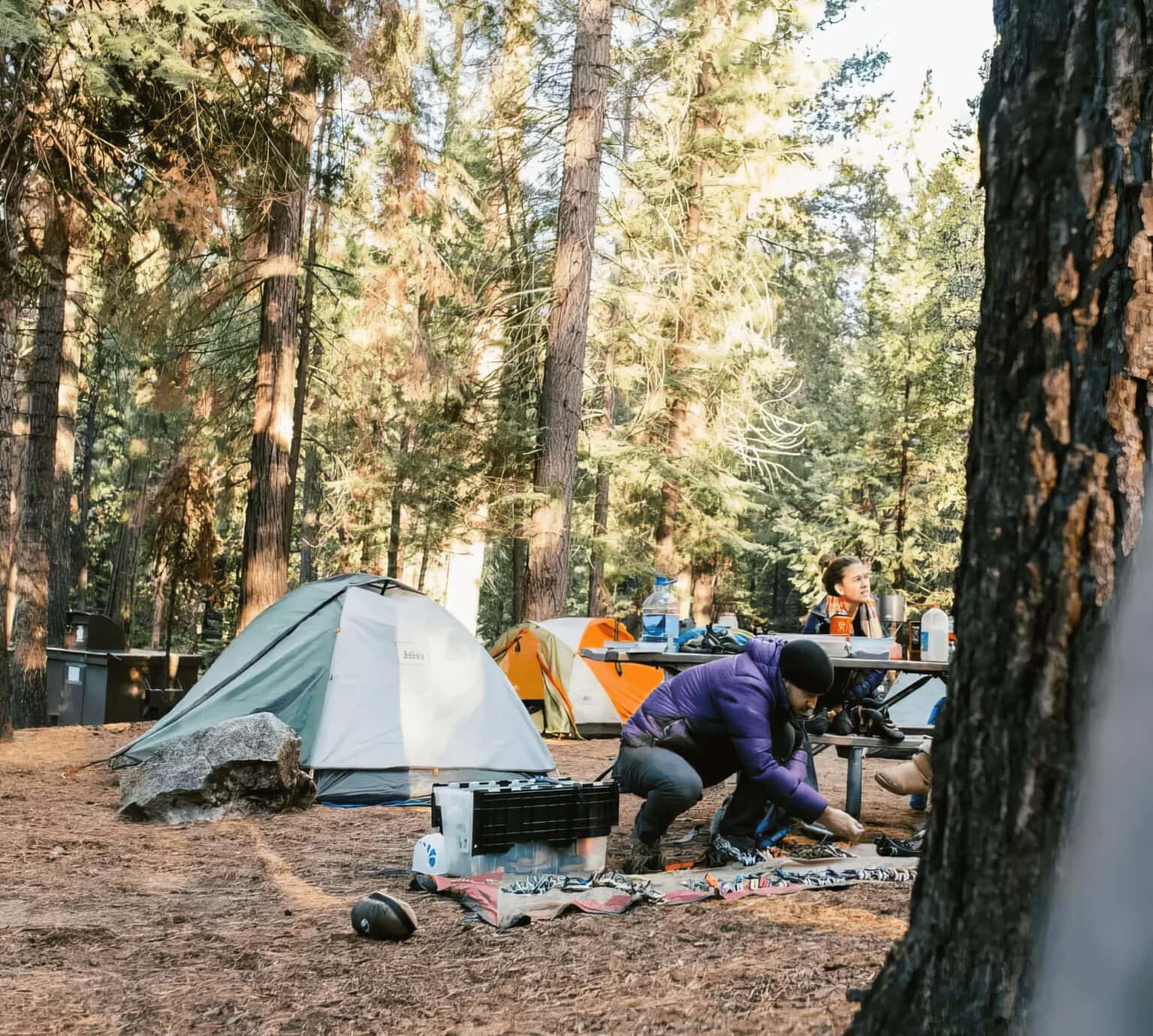 Yosemite Camping: A Guide to Yosemite Camping Reservations