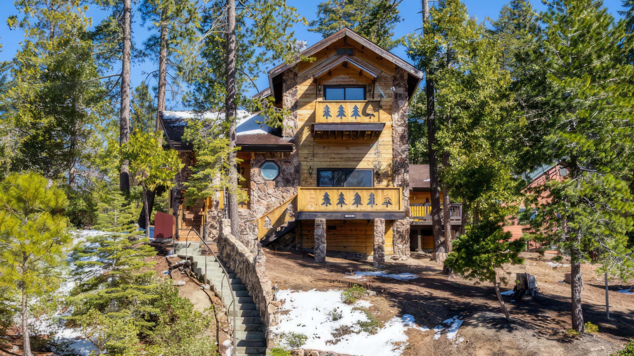 Tree Haven in Yosemite | Discover Yosemite National Park