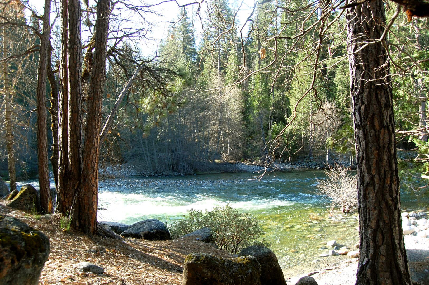 River Song | Discover Yosemite National Park