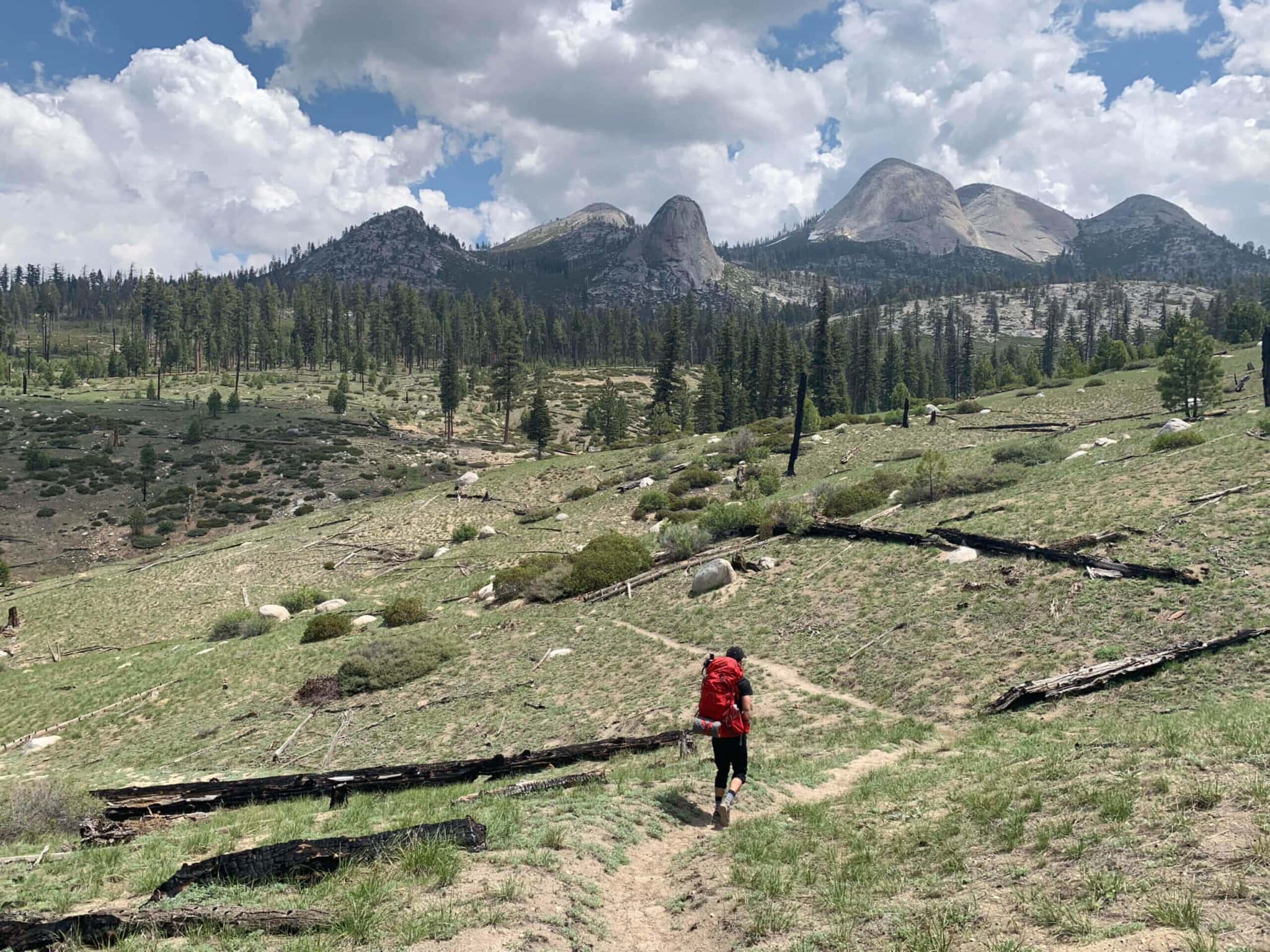 White Wolf Private Tours | Discover Yosemite National Park