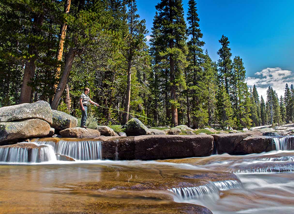 Yosemite Leisure Activities | Relaxing Activities