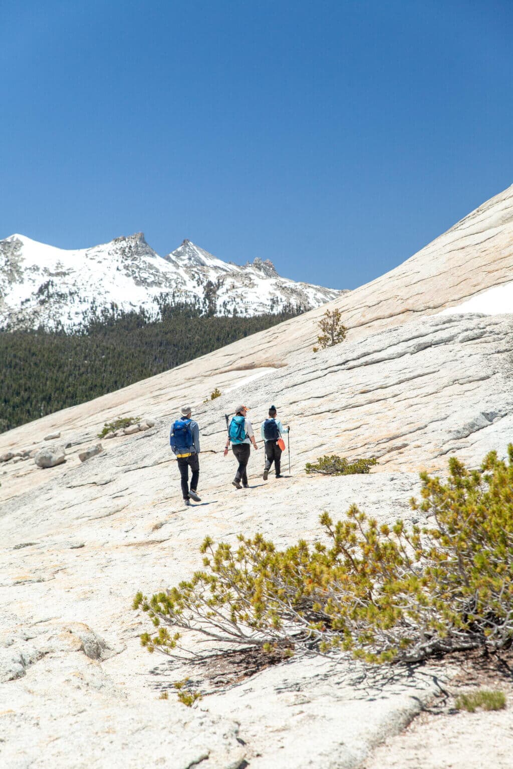 Yosemite Tours and Guides | Book a Yosemite Bus Tour