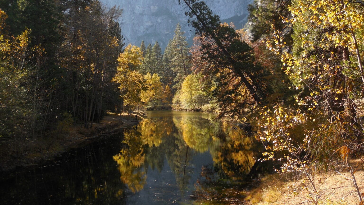 Official Guide for Yosemite First-Timers | Discover Yosemite National Park