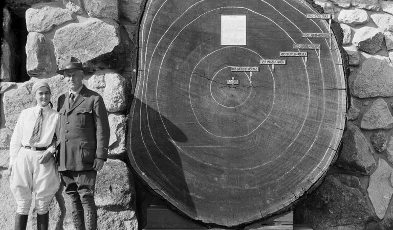 Wild Winter Days of Yosemite Yesteryear | Discover Yosemite National Park