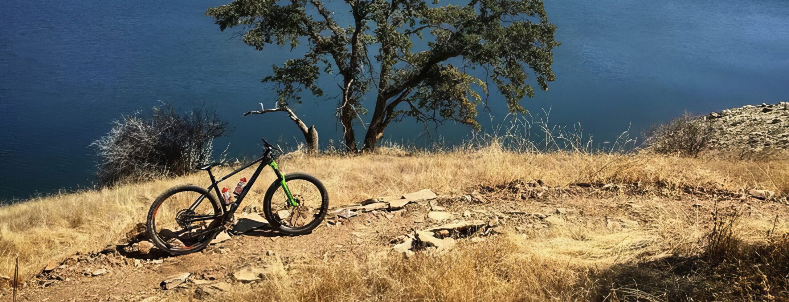 Exchequer Mountain Bike Park | Discover Yosemite National Park