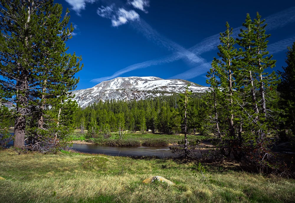 Mt Dana | Discover Yosemite National Park