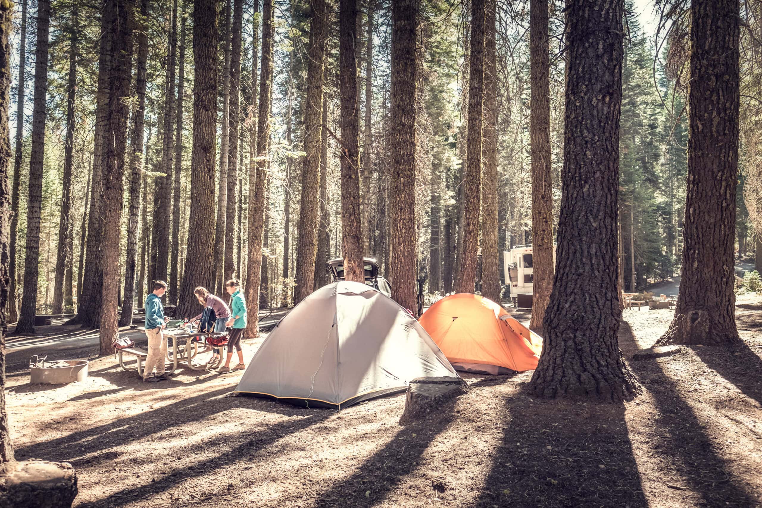 Yosemite Camping: A Guide to Yosemite Camping Reservations