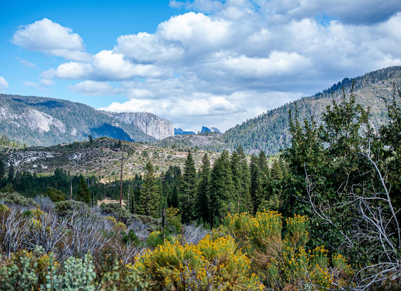 True View Lodging in Yosemite Mariposa County | Discover Yosemite ...