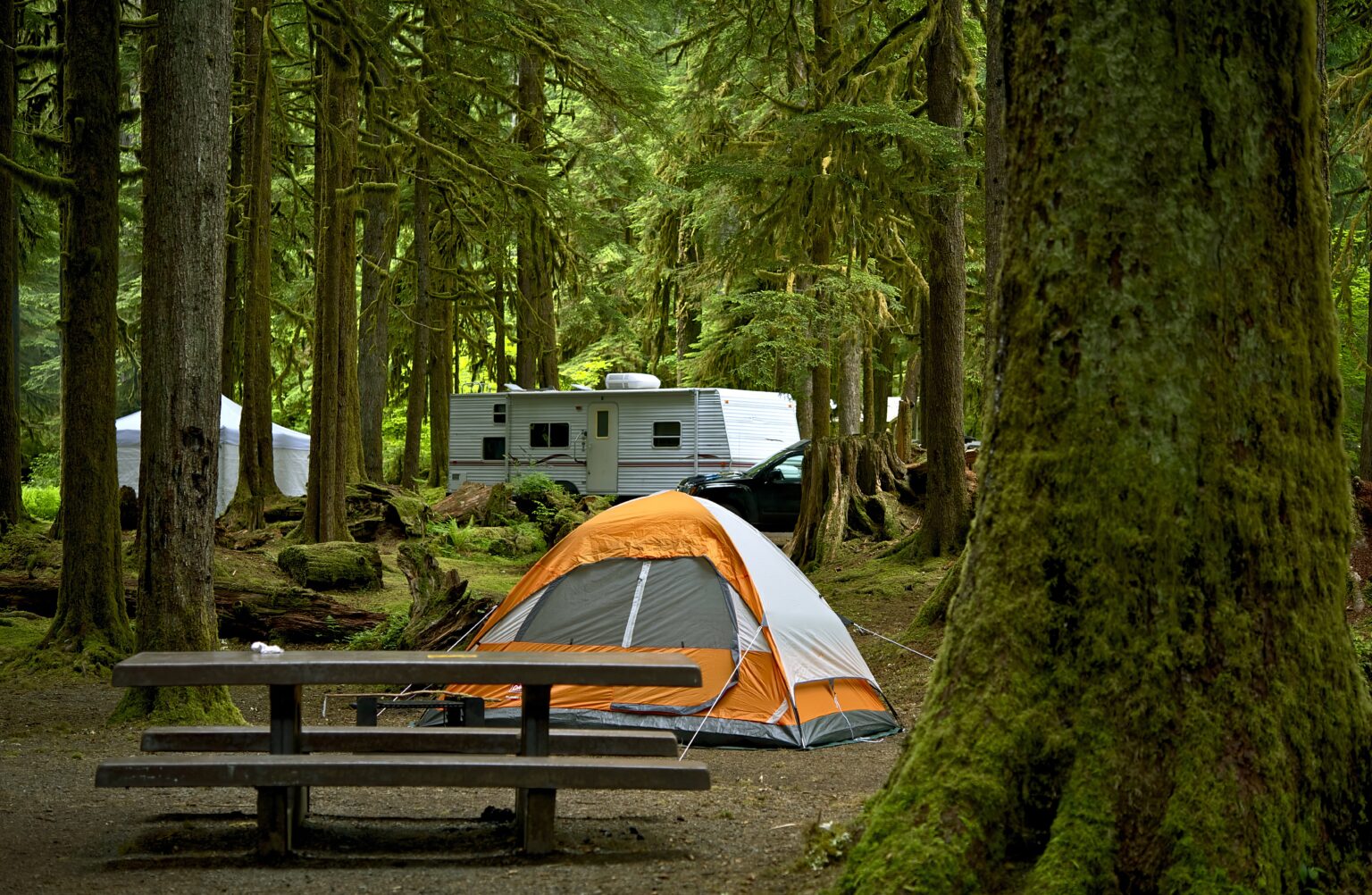Camping Reservations in Yosemite | Discover Yosemite National Park